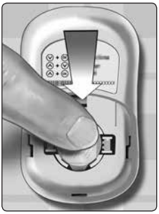 OneTouch Verio Flex® – Battery